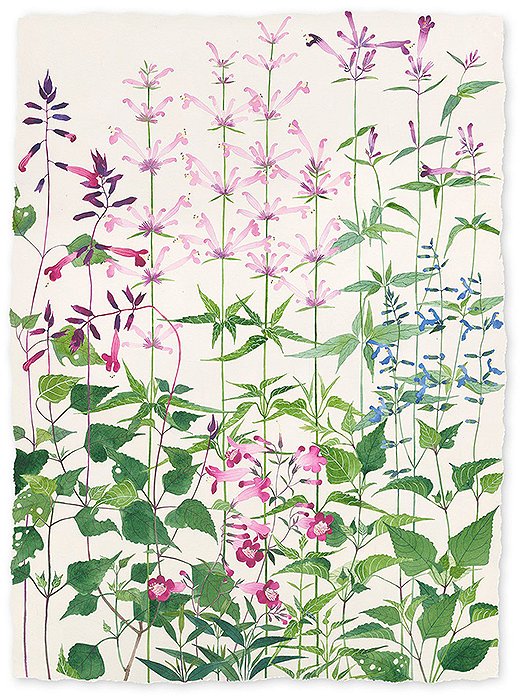 Chatting Art & Inspiration with Artist Gabby Malpas