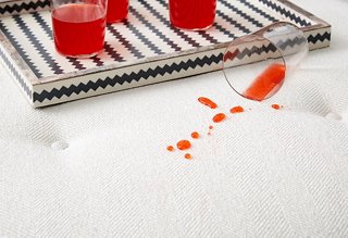 Discover Our Stain-Resistant Upholstery Collection