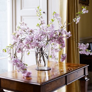 The Chicest Designers Reveal Their Favorite Flowers – Hyman Home and ...