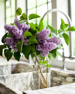 The Chicest Designers Reveal Their Favorite Flowers – Hyman Home and ...